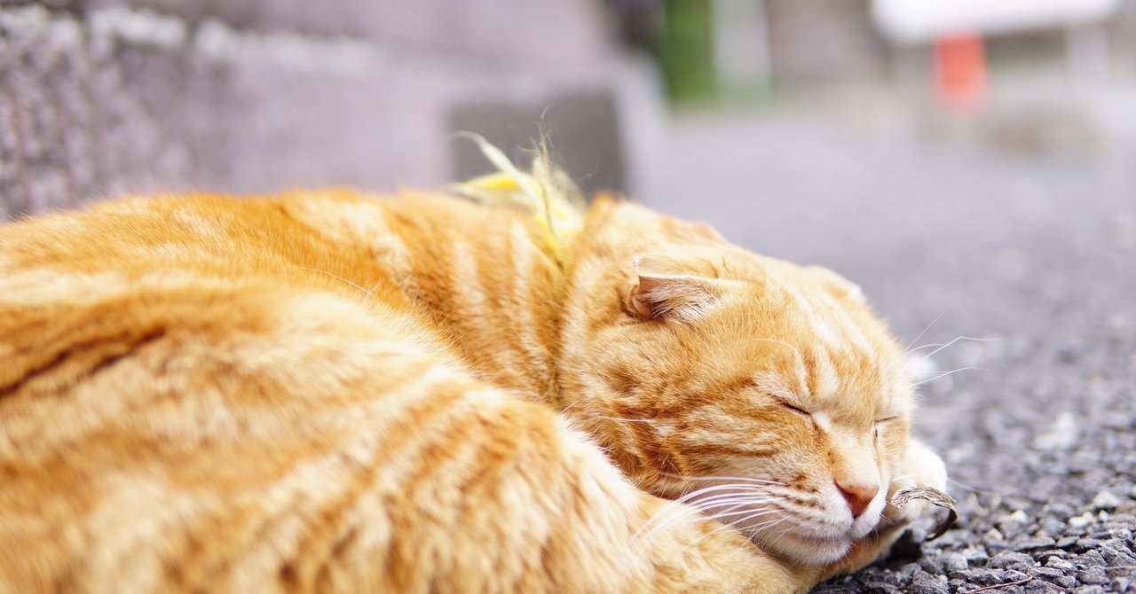 今日の面白発見本＃4「セルフケアの道具箱：ストレスと上手につきあう100のワーク」｜Toshio Tsukuda（書籍編集者）