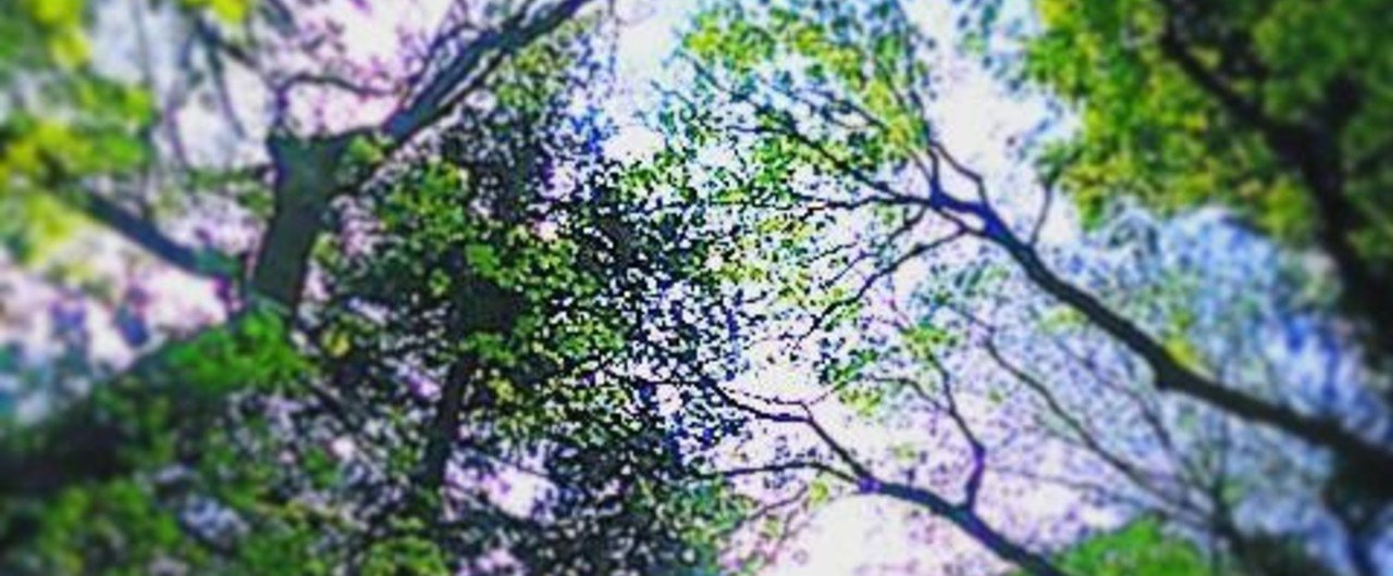 YOGA IS HOW TO LIVE.｜miyoga｜note