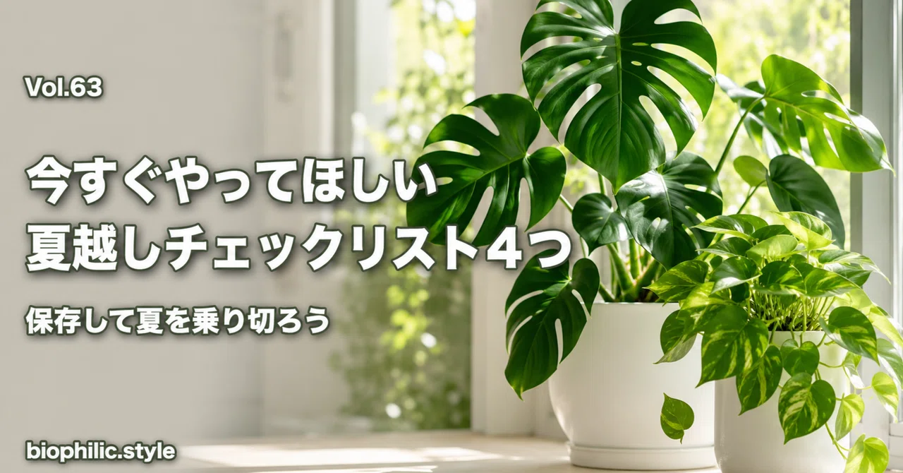 Are you overlooking these 4 things for your houseplants' summer ...