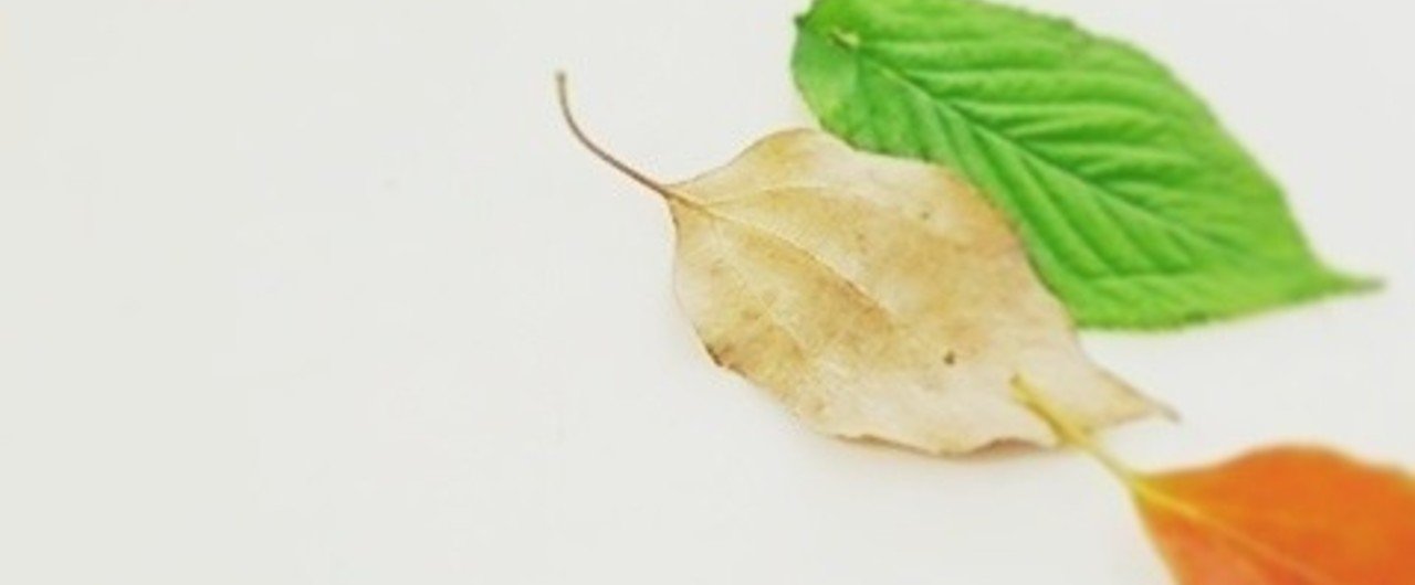 YOGA IS HOW TO LIVE.｜miyoga｜note