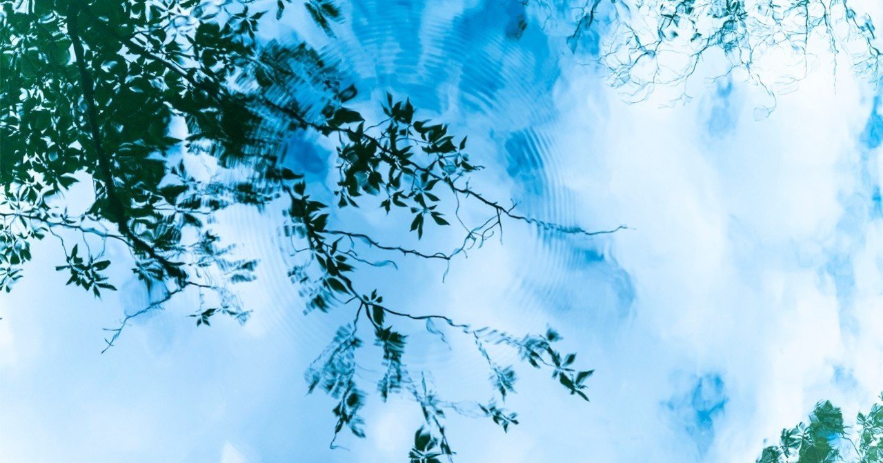 reflection/distortion_tree_02 (photo gallery)｜ぷらいまり。