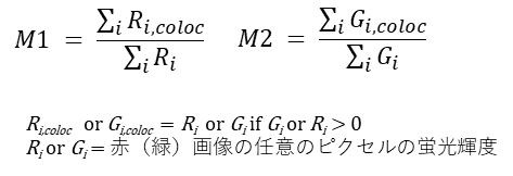Co-Localization 4 3.定量分析｜SakuLab