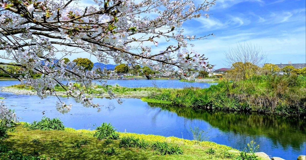 Biodiversity in Japan: hotspots and priority areas for conservation ...