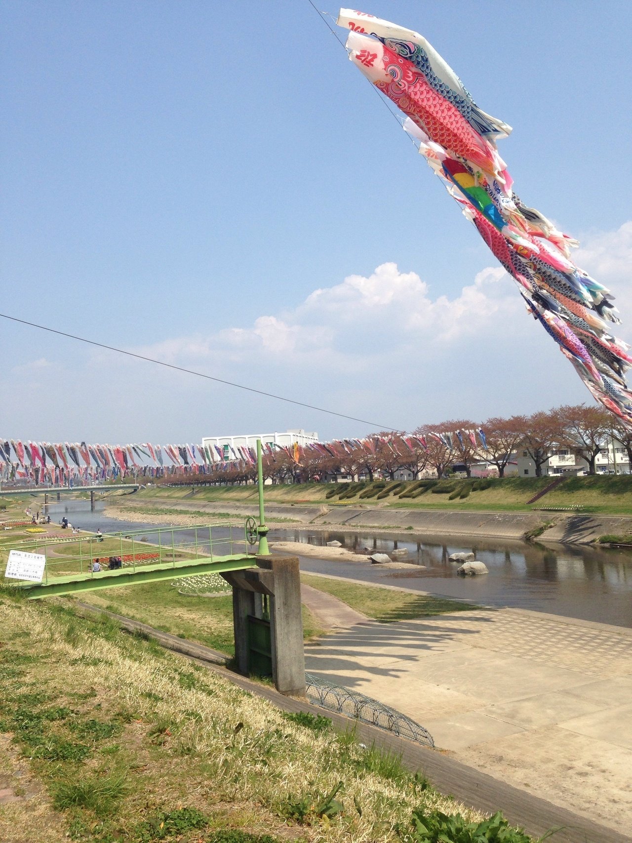 空に泳ぐおさかなの姿｜Chie Munakata