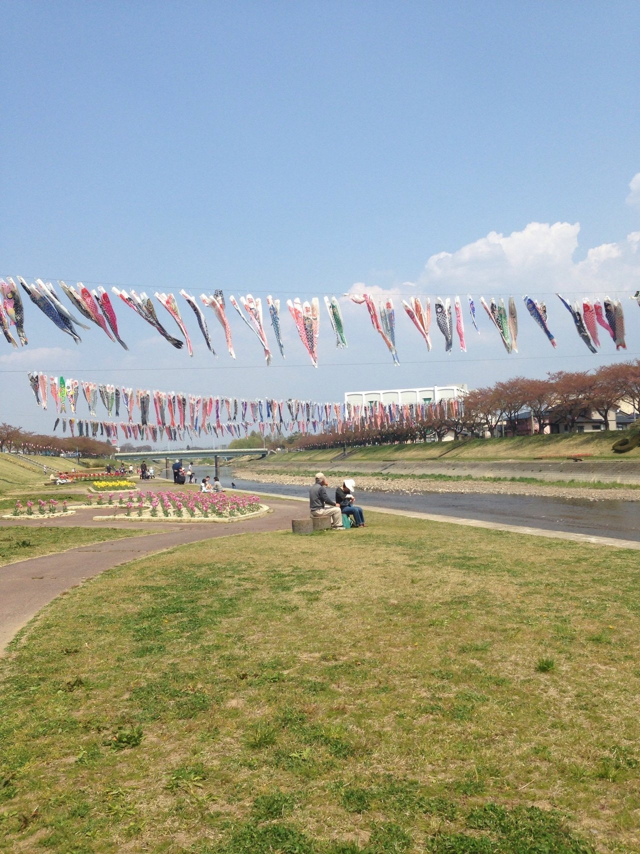 空に泳ぐおさかなの姿｜Chie Munakata