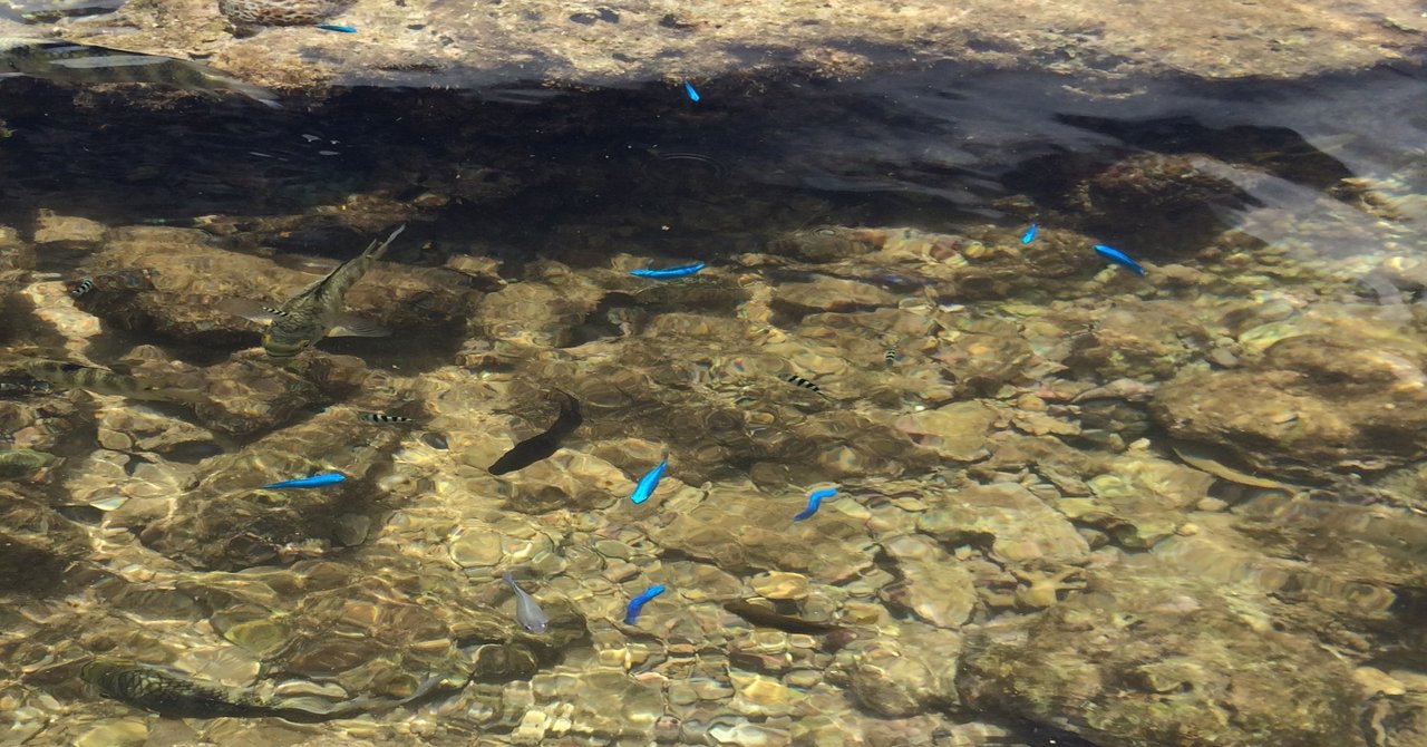 6月28日｜kjunichi｜note