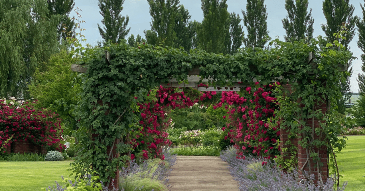 開業届を出したけど、取り下げました〜開業への道のり39｜Masatoshi Oka | 柿川亭