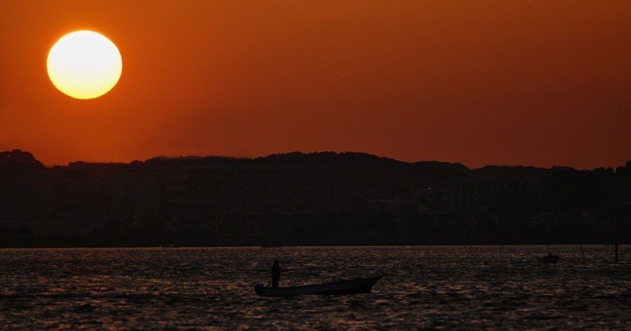 書くこと、思考すること｜note猿｜note