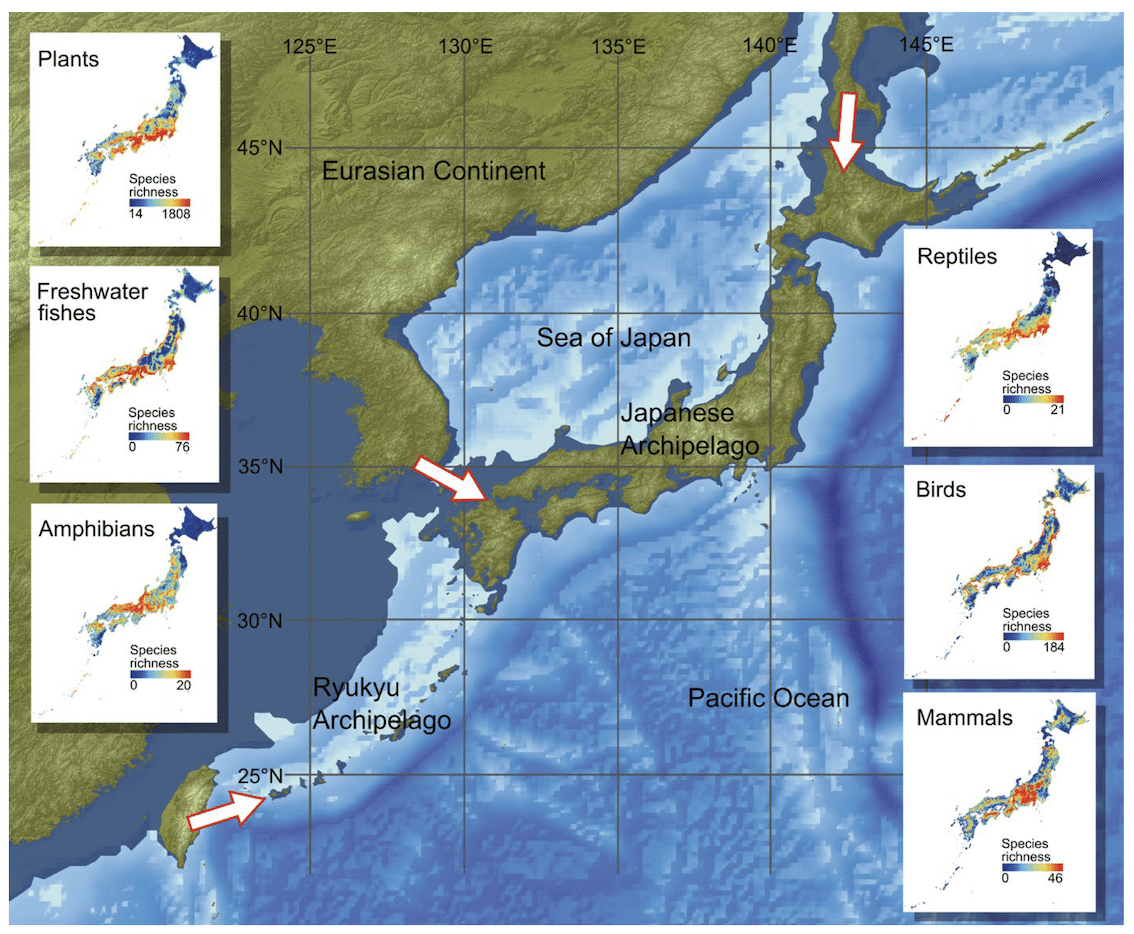 Biodiversity in Japan: hotspots and priority areas for conservation ...