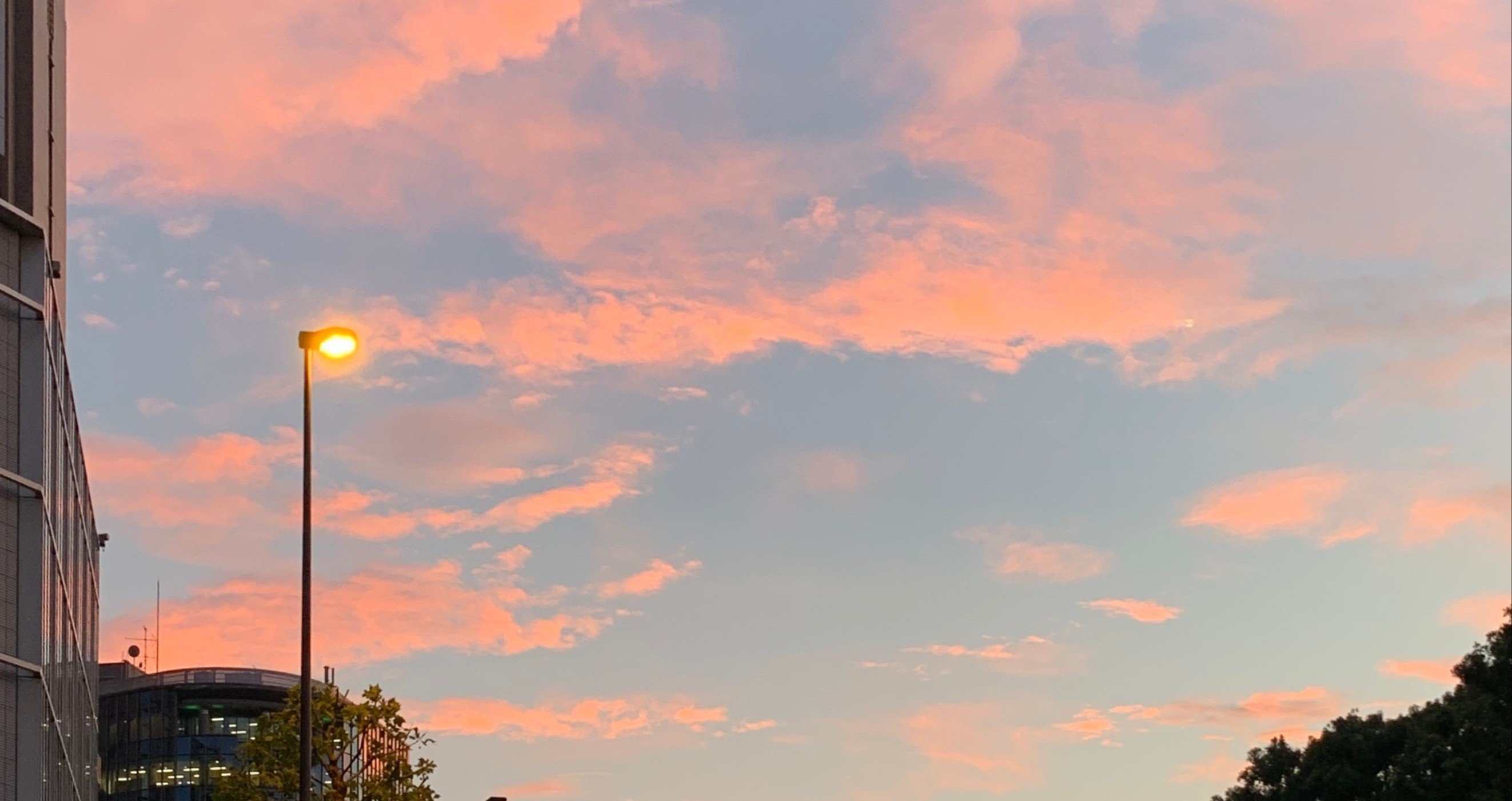 MITSUKO HAMADA｜note