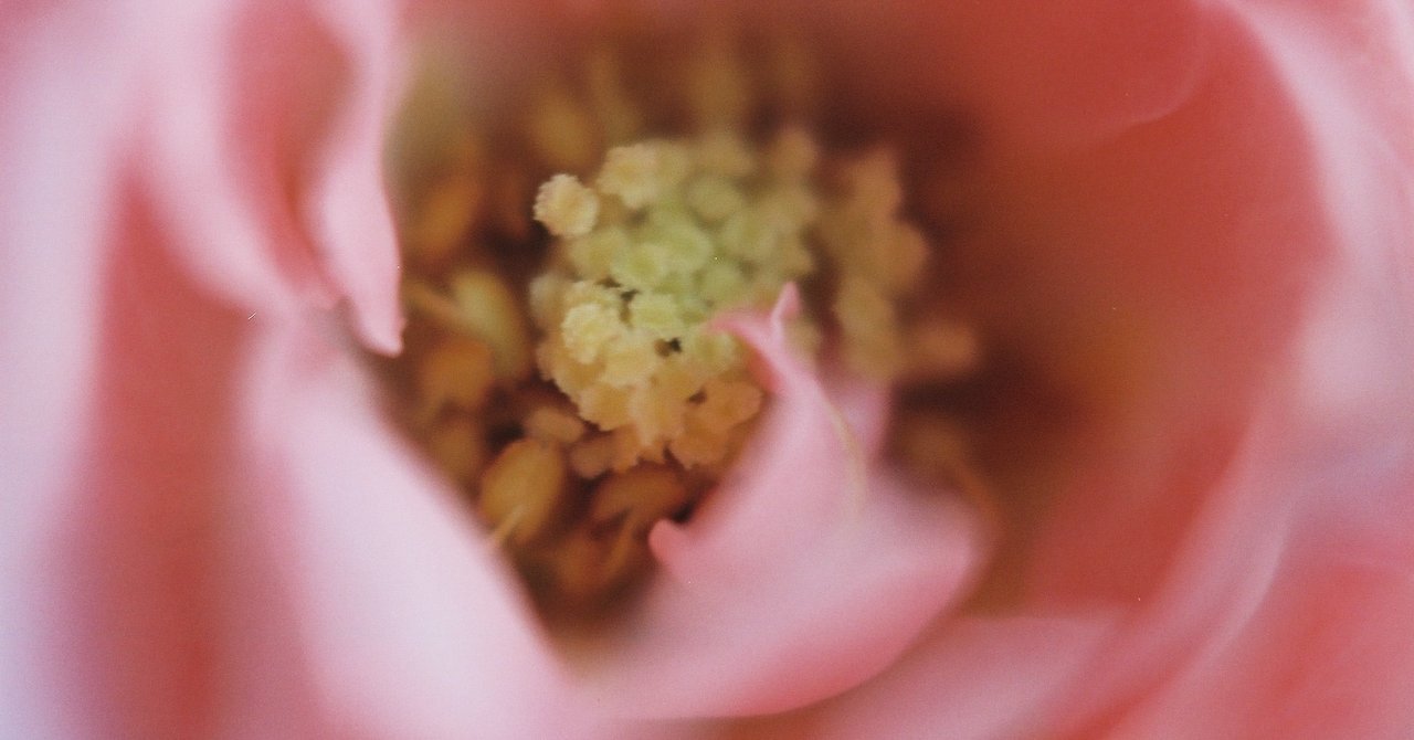 陶酔。・。・。・。・｜Cosmic Suzu｜note