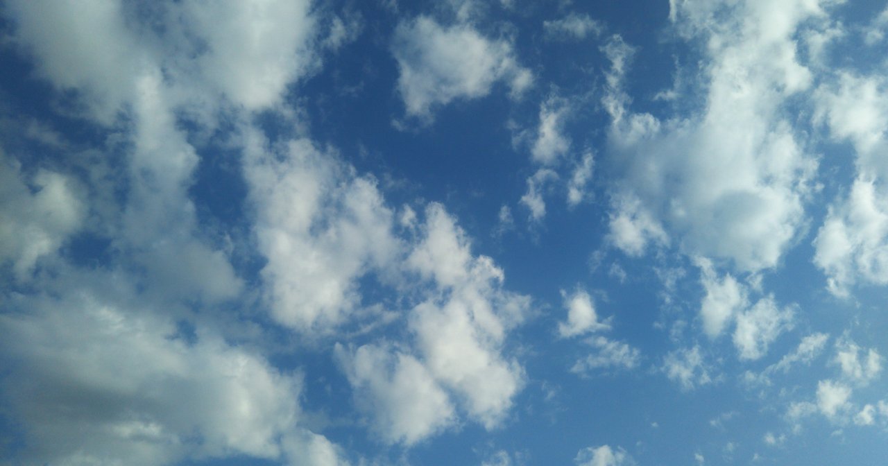 [WIP]SciPy 2020 に参加しました｜tkoyama010