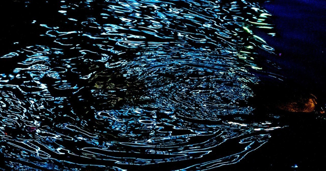 reflection/distortion_bird_08 (photo gallery)｜ぷらいまり。｜アートライター