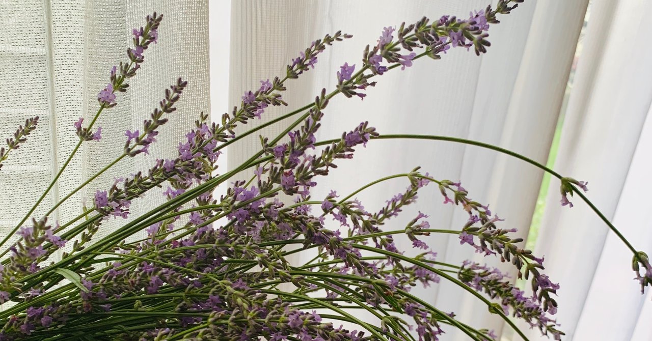 添加物って怖いよね｜Hanahana.Rin｜note