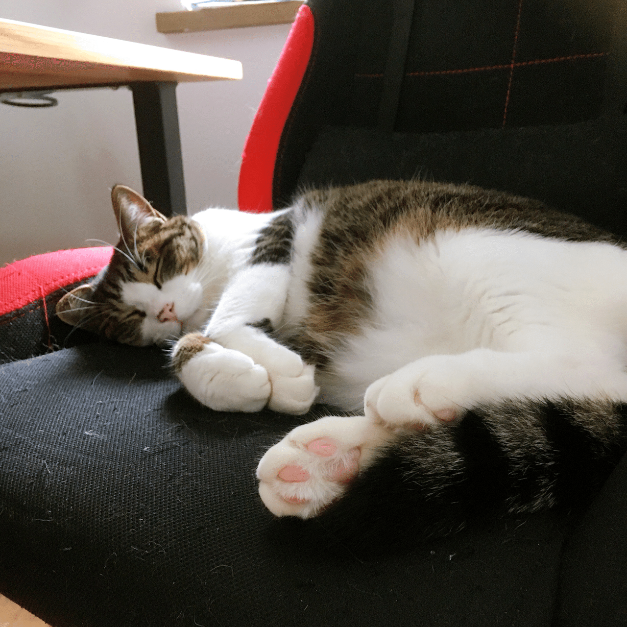 たまには、息抜き｜yoko_leaf