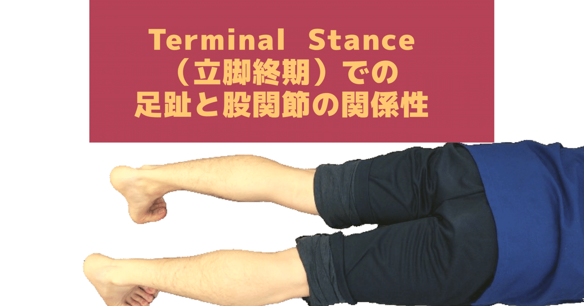 Terminal Stance（立脚終期）での足趾と股関節の関係性｜白須達也(Tatsuya Shirasu) 理学療法士 × アスレティック ...