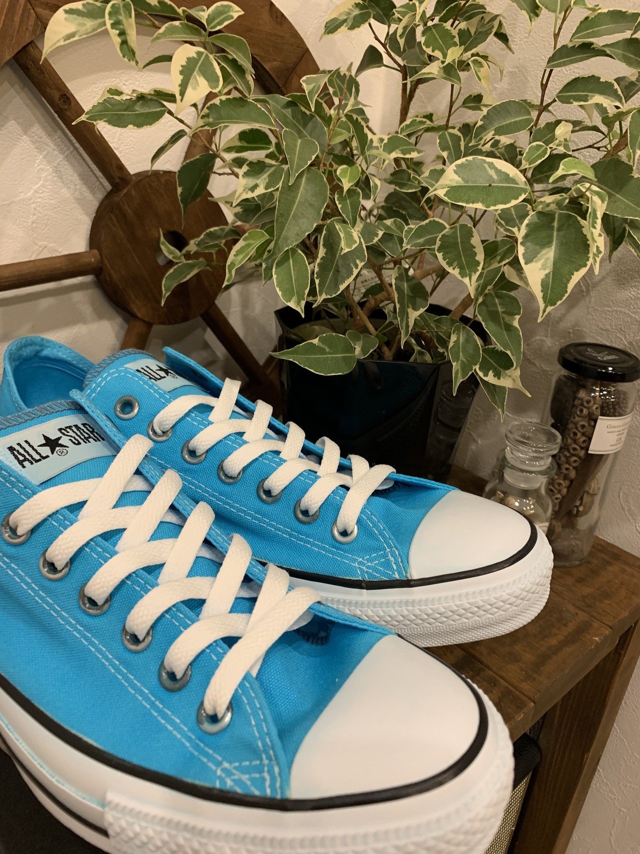 TURQUOISE BLUE × WHITE LOW｜LOHAS