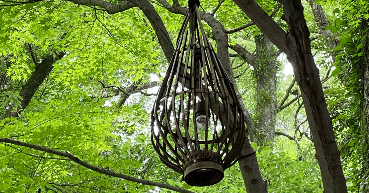 それは役割からの解放｜観音美住cannobis