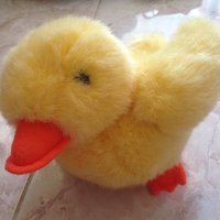 日本人の知らないタイの大学事情｜Miped｜note