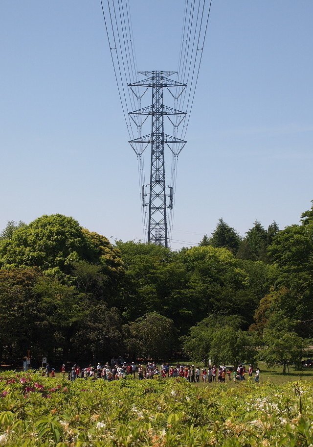 [鉄塔] 中富線54号 @小金井公園｜OE Waku｜note