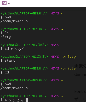 MSYS2のフォントをricty diminishedに変更する方法｜かつお