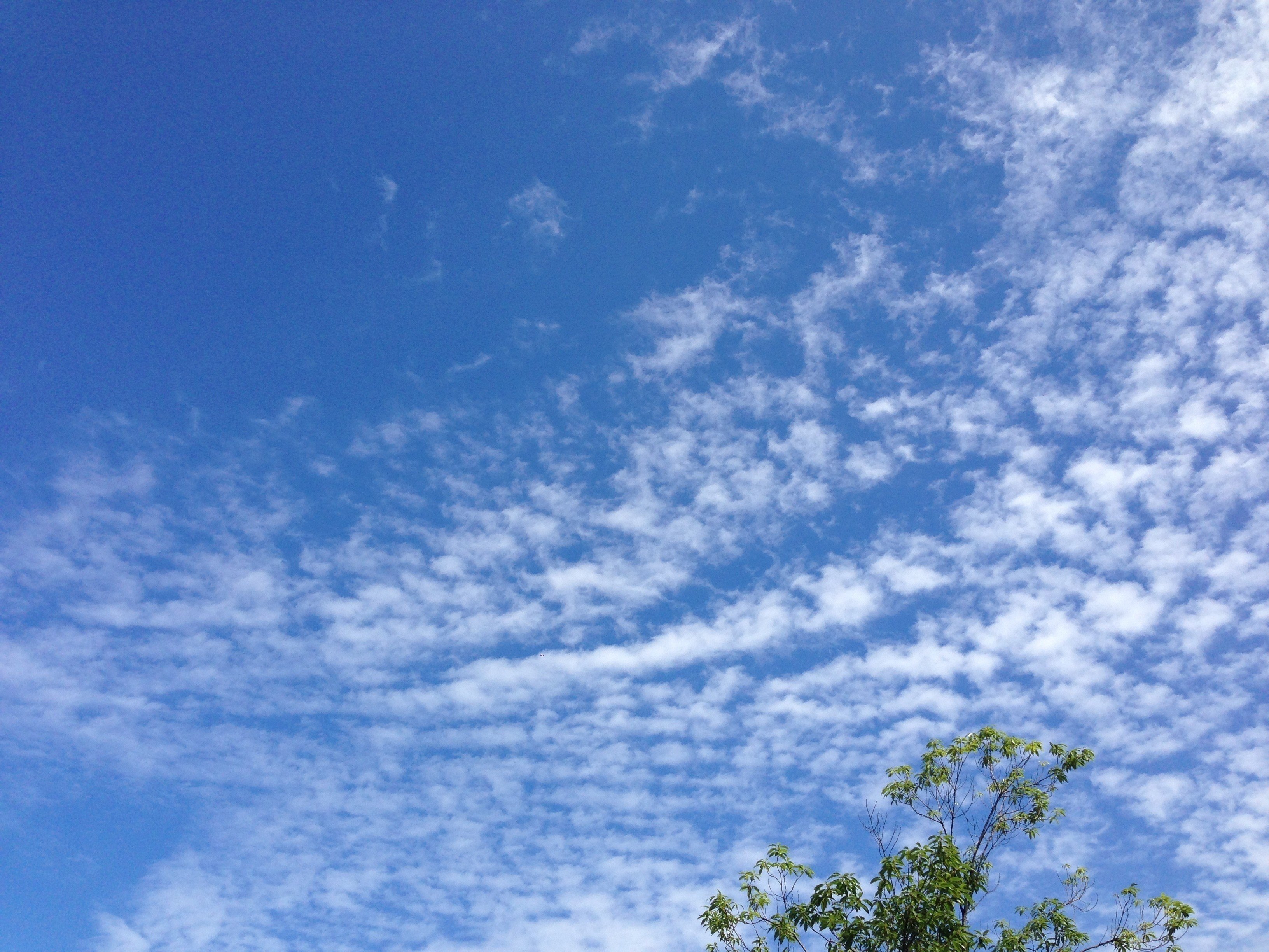 Kazuko Hirose｜note