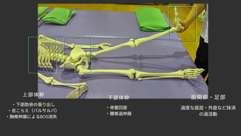 臨床ですぐ使える評価active SLRテスト（スペシャルライター潟山さん）｜N.Pilates Education！吉田直紀