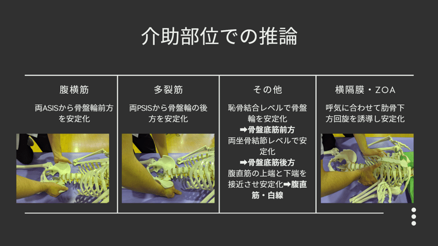 臨床ですぐ使える評価active SLRテスト（スペシャルライター潟山さん）｜Nピラティス！吉田直紀