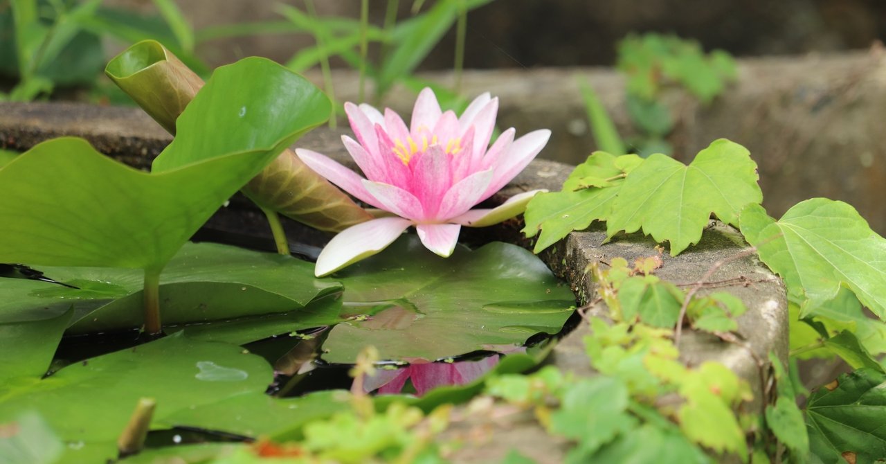 暮らしの副産物｜Sosyu Kikuchi｜note