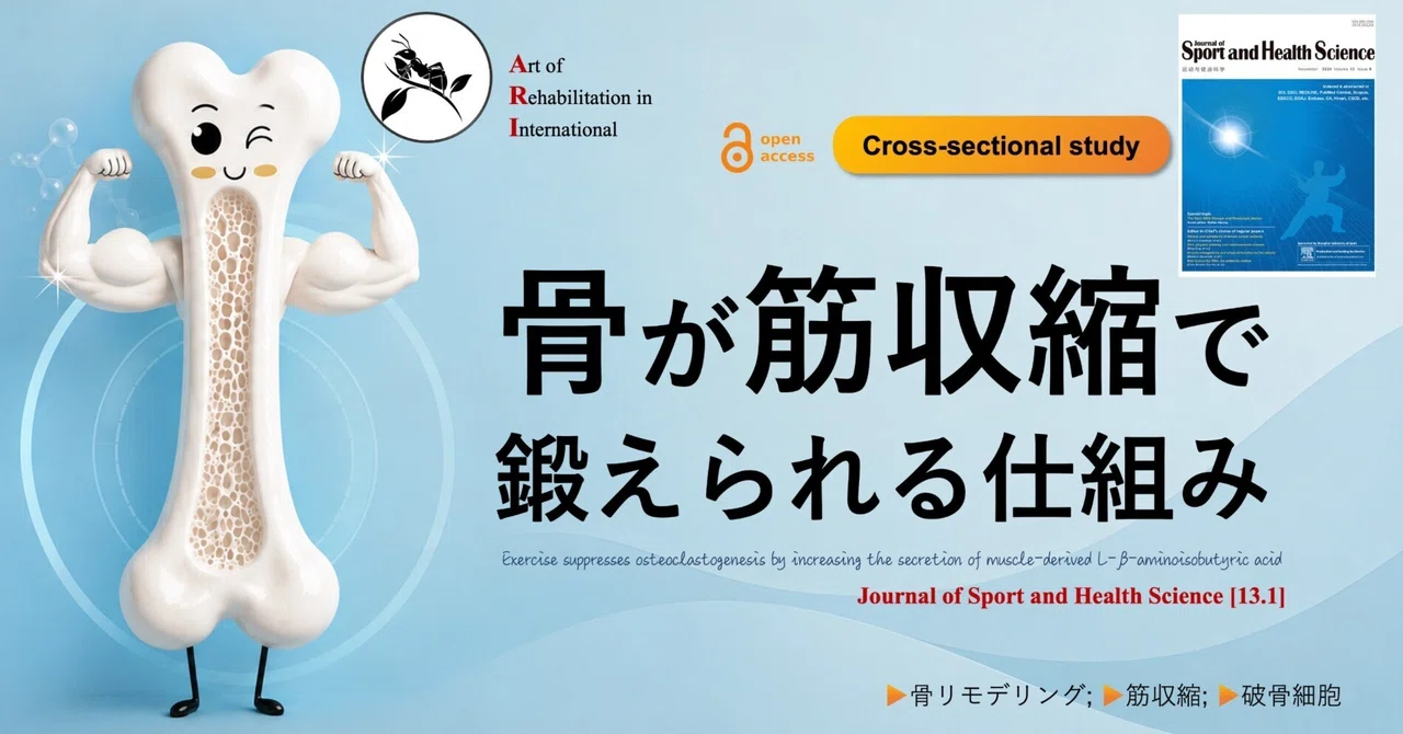 The Mechanism by Which Bones Are Strengthened by "Muscle Contraction ...
