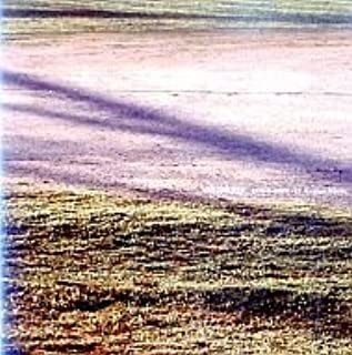 moresis/ontology Little Busters!-EX Arrange Album｜きょむ