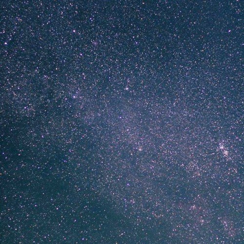 【キャンプ場インタビュー♯4】CAMP SPACE DOSHI 2.0｜Spacekey Inc. / 株式会社スペースキー