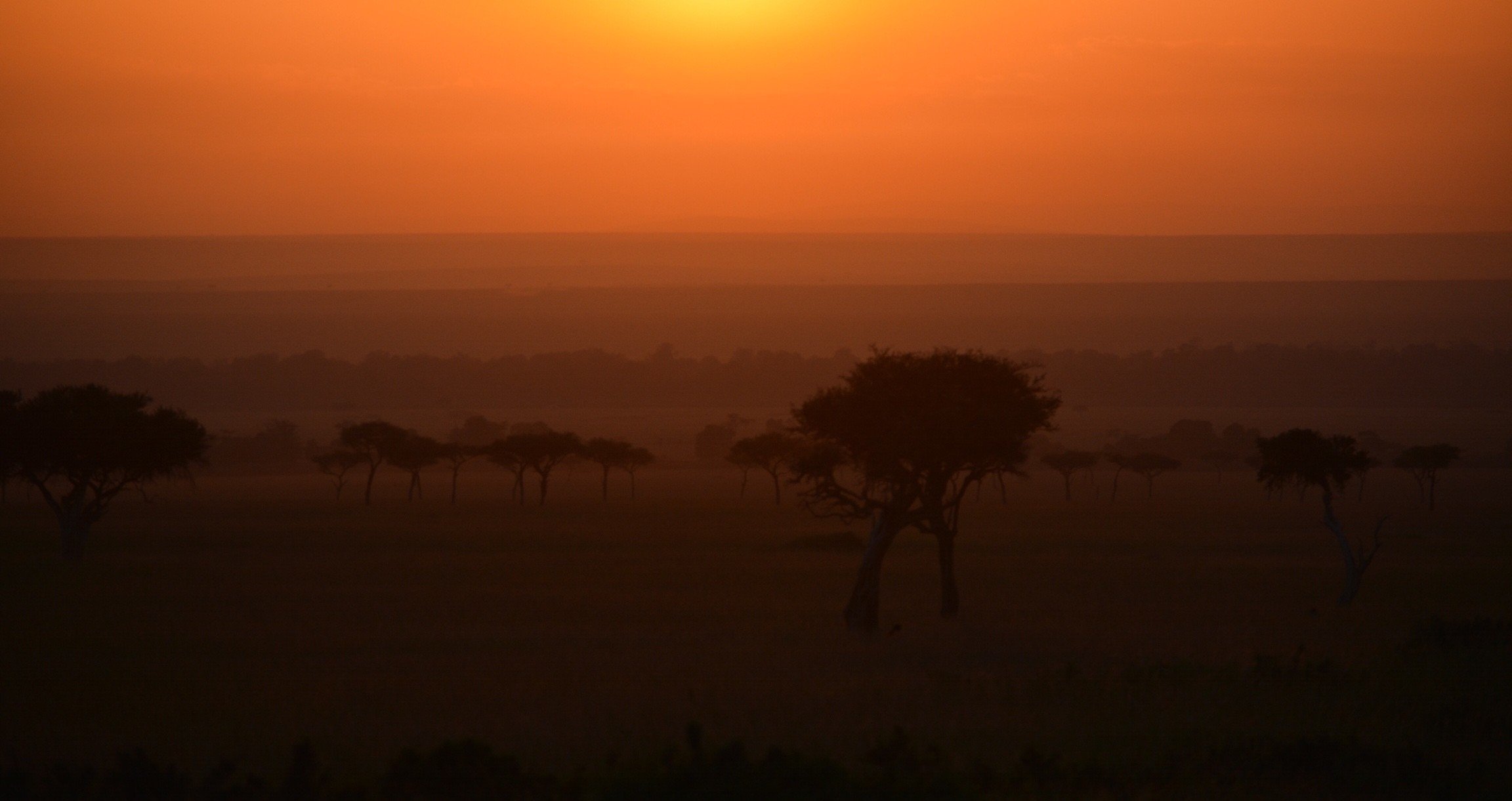 たかっし @ ワクワクを通じて価値提供｜note