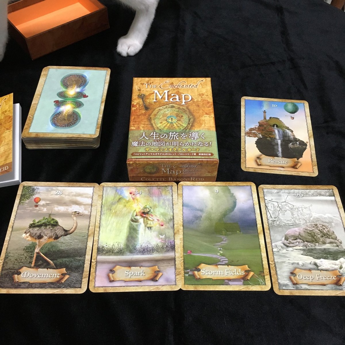 ご挨拶リーディングのスプレッド紹介｜あんず🍑@ぐうあんタロット