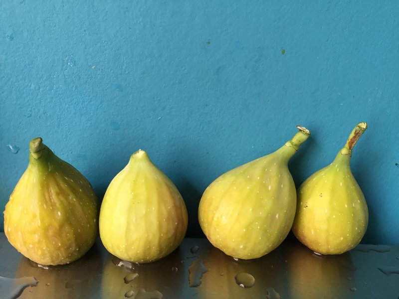 食べるは生きる。働きと関わりあいの連なりのなかで｜ココルームの日々