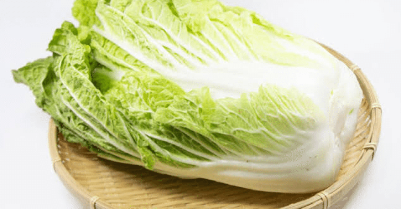 はくさい｜Jien'sマガジン