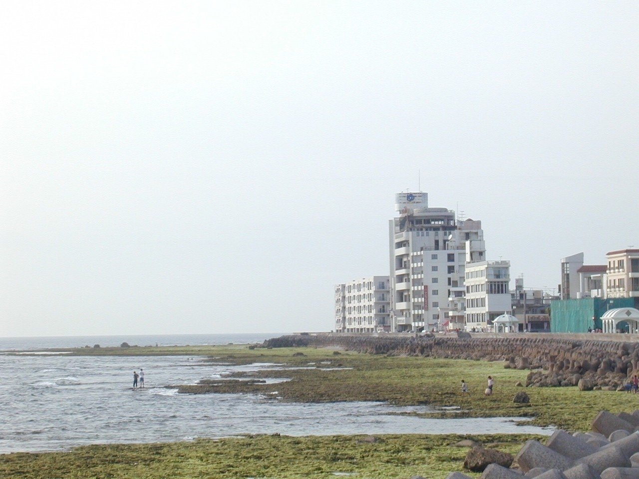 私の背中に薔薇が咲いた。見ることはできないが、私は私の背中に薔薇が咲いたことを感じる。知っているとでも言えばいいのか。背中にもう一つの心臓が ...