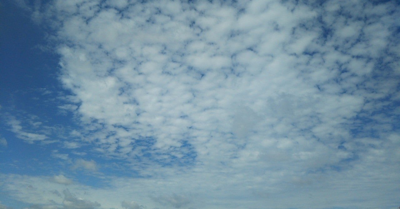 わたしの出会った判事たち －4－｜長谷川美智子