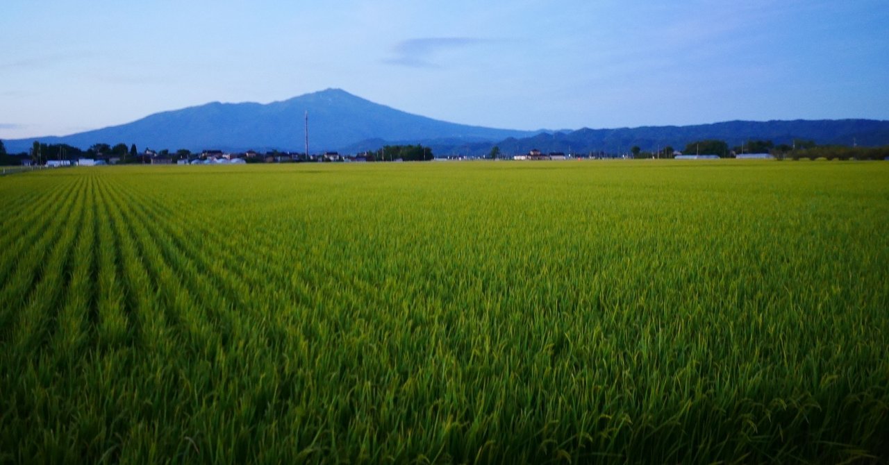 田舎ぐらしにおける豊かさの実現 ～長期投資のすすめ～｜あきこ