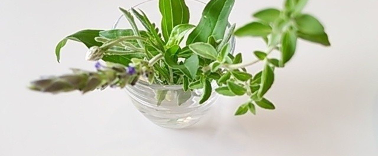 YOGA IS HOW TO LIVE.｜miyoga