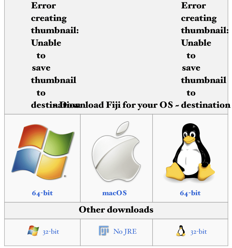 生命科学分野で画像解析！ImageJ Fijiってなに？｜eiko_programming