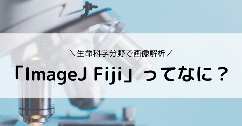 生命科学分野で画像解析！ImageJ Fijiってなに？｜eiko_programming