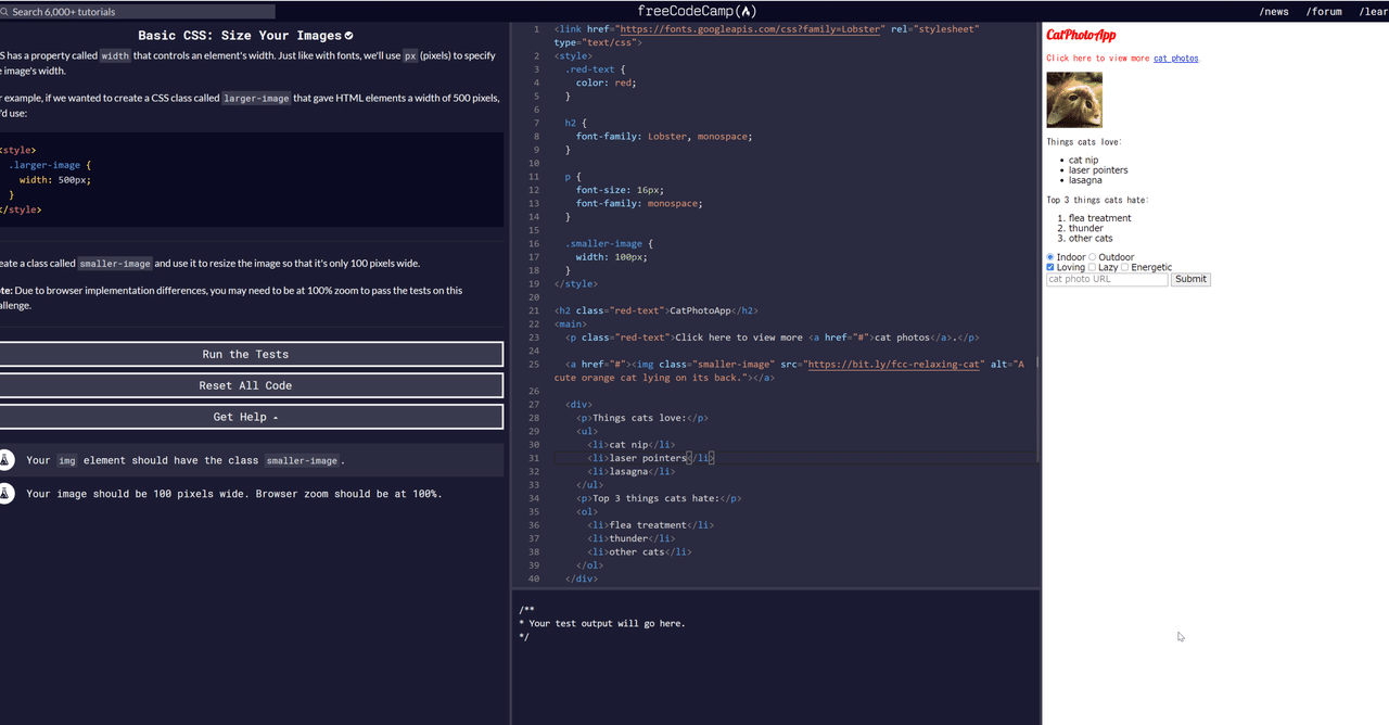 freeCodeCamp 20min challange Day 3｜Kyohei Moriyama