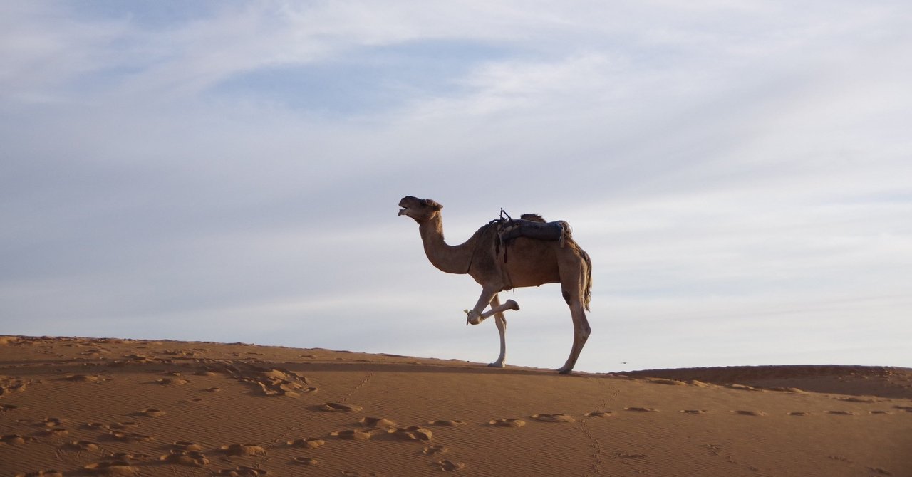 「仕事ができる人は自分でボールをもたない」ということについて｜Shunta Aoki