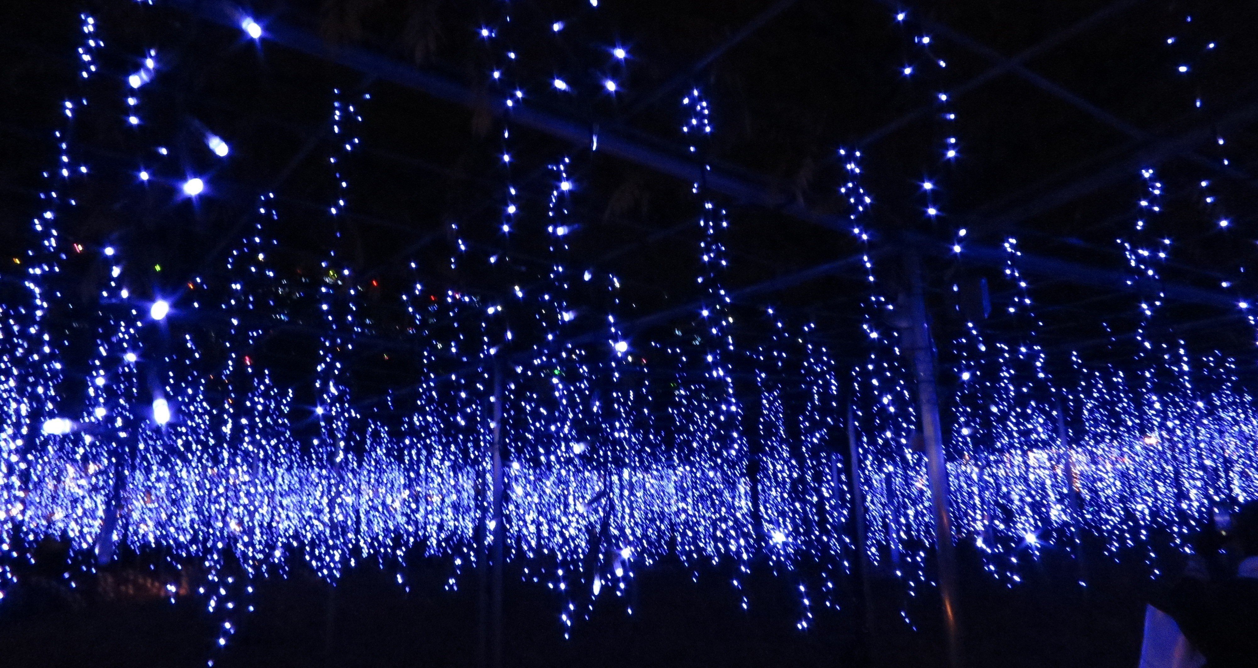 先崎 進（Sakizaki Susumu）｜note