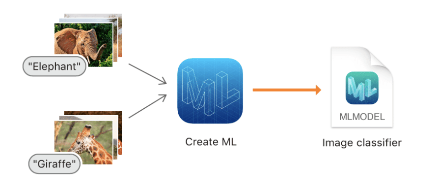 Object Detection With Create ML: Images And, 58% OFF