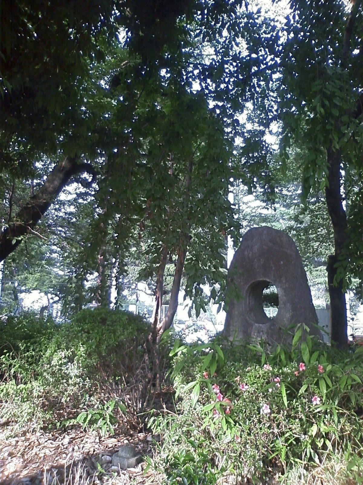 穴 Hall｜安藤優 Masaru Ando