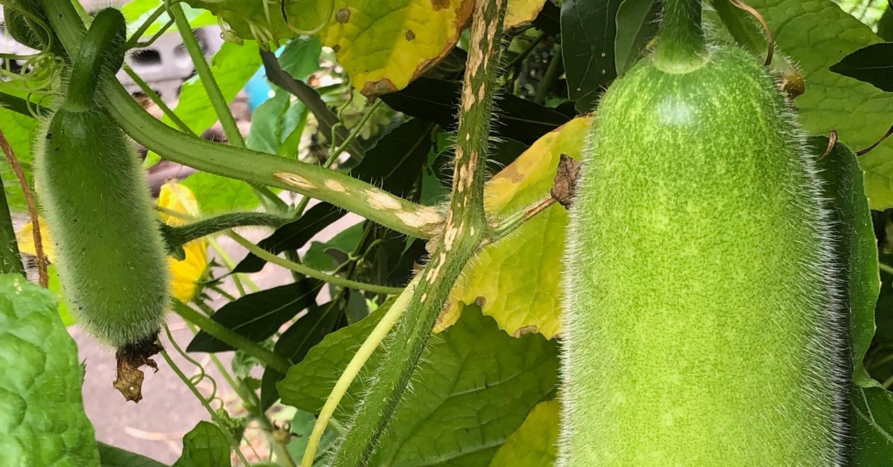 落胆｜retugg｜note