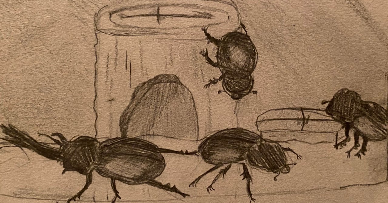 カブちゃんたちの観察日記｜kio aoyama｜note