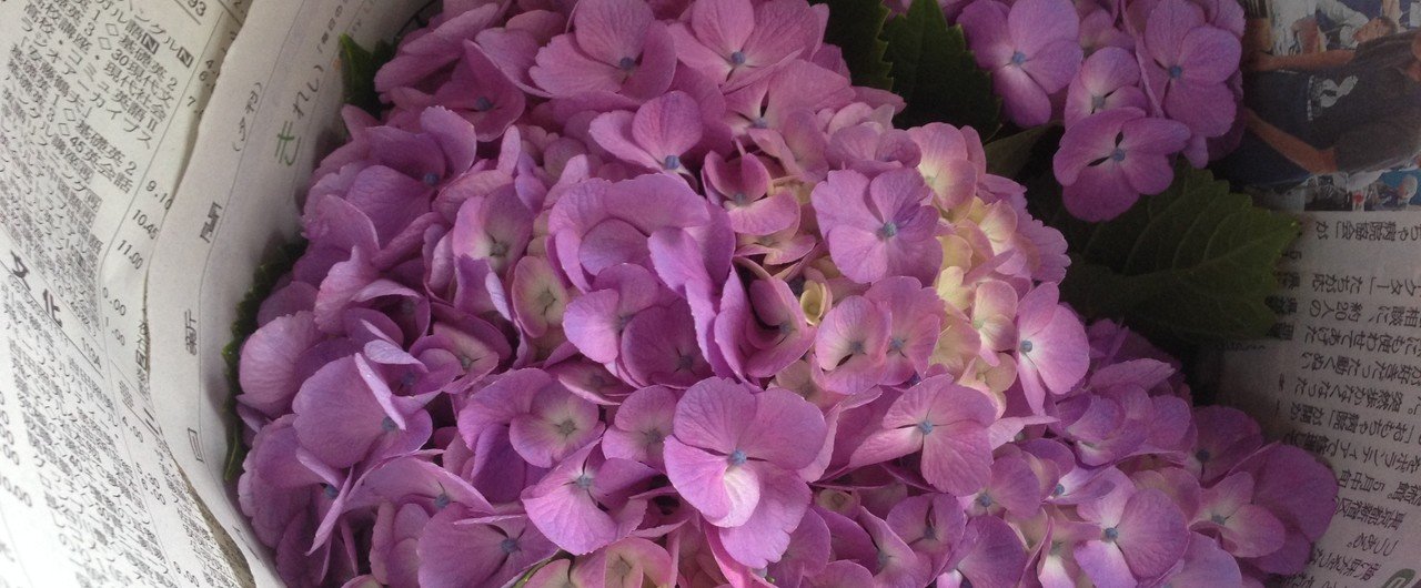 2015.6.10 「ひとまず、安心」｜Kazuko Hirose